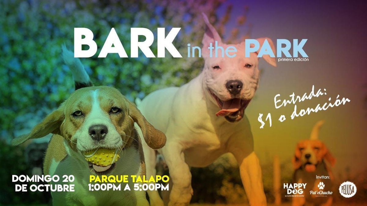 Talapo Park, San Salvador (+503 6110 1562)